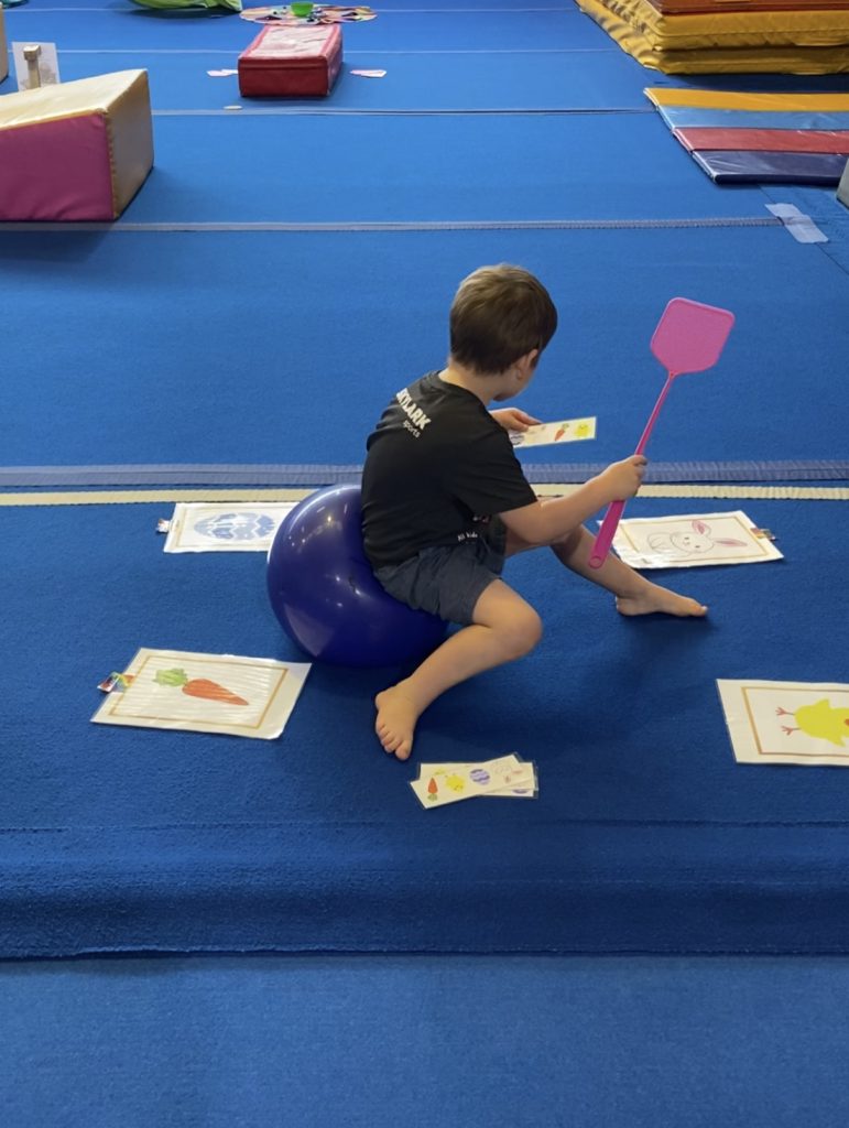 NAVIGATION – The ABC’s of JuniorGym – Skylark Sports